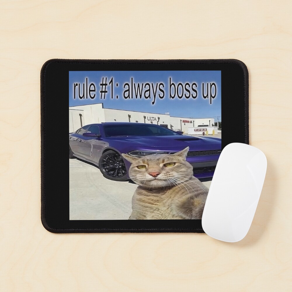 "Rule #1 Always Boss Up Selfie Cat Meme" Sticker for Sale by ...