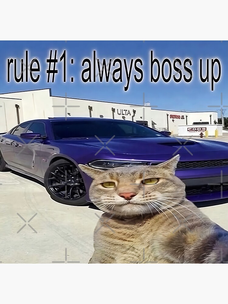 "Rule #1 Always Boss Up Selfie Cat Meme" Sticker for Sale by ...