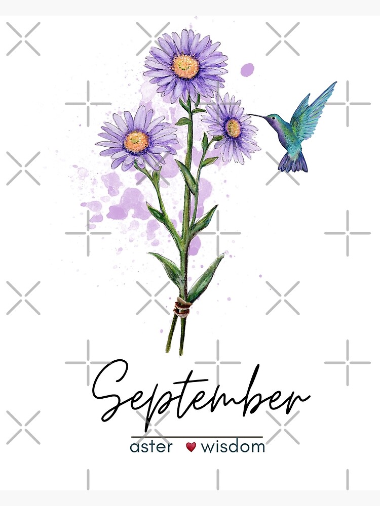 "September Birth Flower - Aster" Poster for Sale by TiffanyRoy | Redbubble