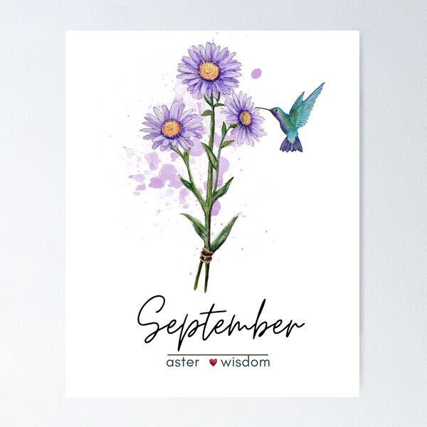 "September Birth Flower - Aster" Poster for Sale by TiffanyRoy | Redbubble