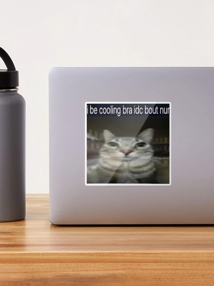 Sint Katt Meme Bra This Photo Shows A Different Cat - The Owner Of