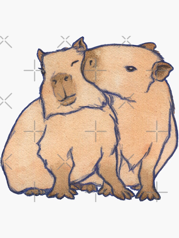 "Capybara Couple" Sticker for Sale by myweirdbrain | Redbubble