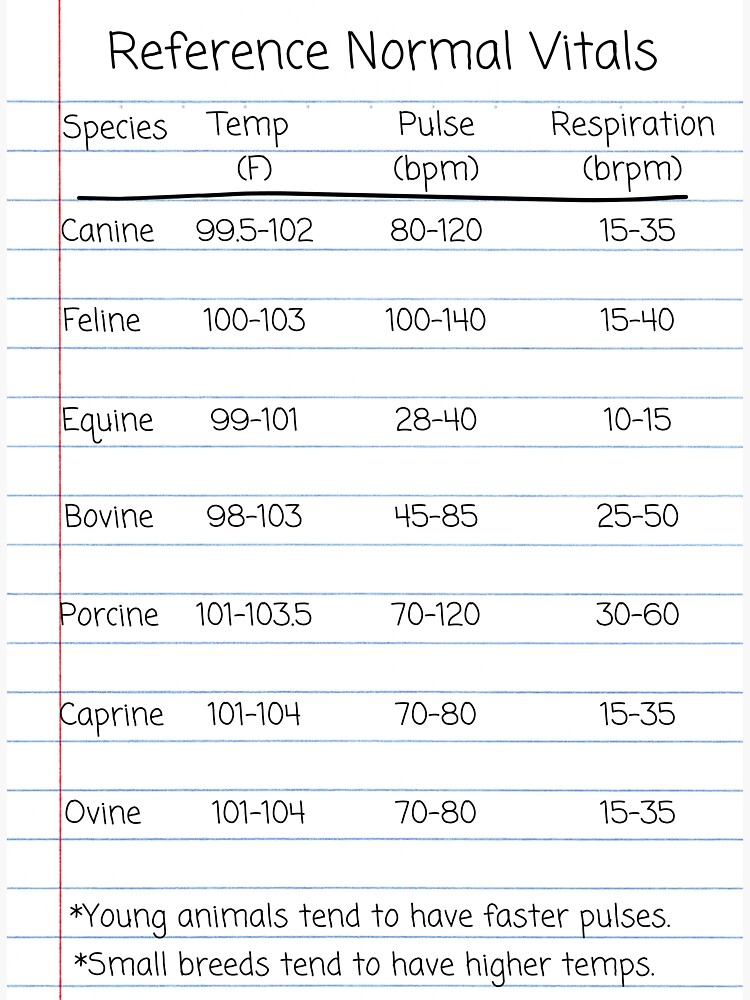 "Veterinary Reference Normal Vitals " Sticker for Sale by FLHeifer ...