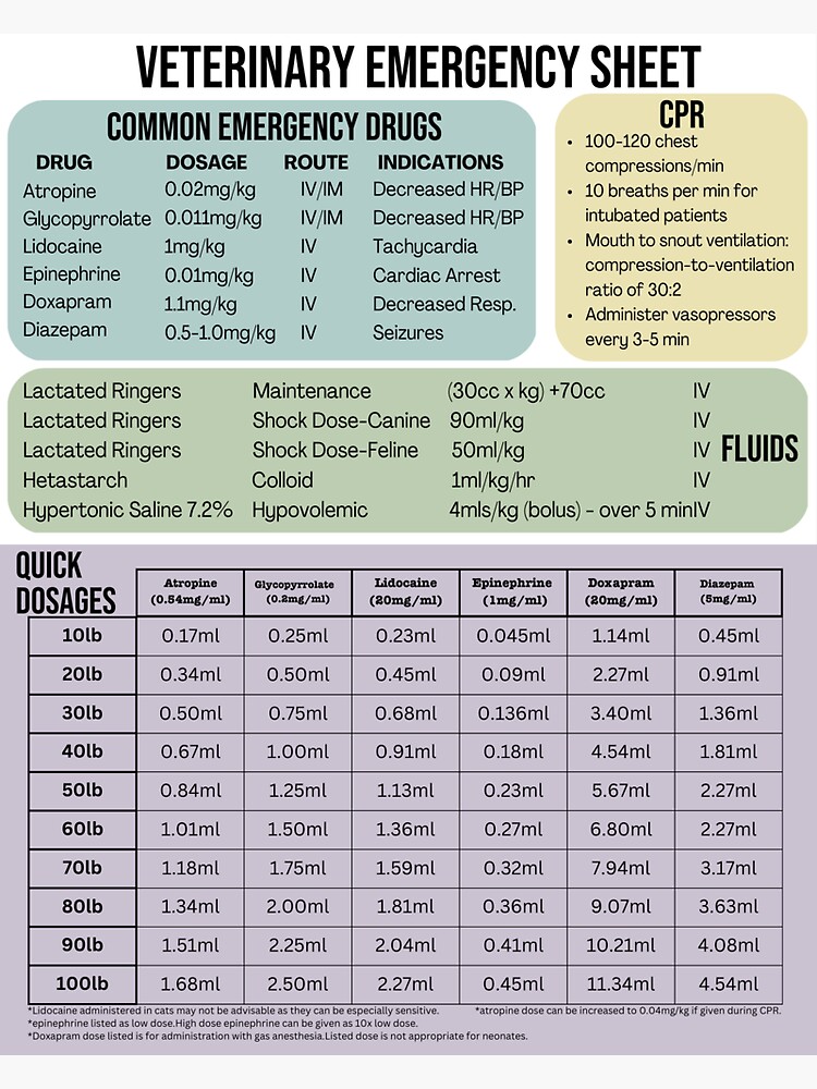 "Veterinary Emergency Drug Sheet " Sticker for Sale by Katherine Adwell ...