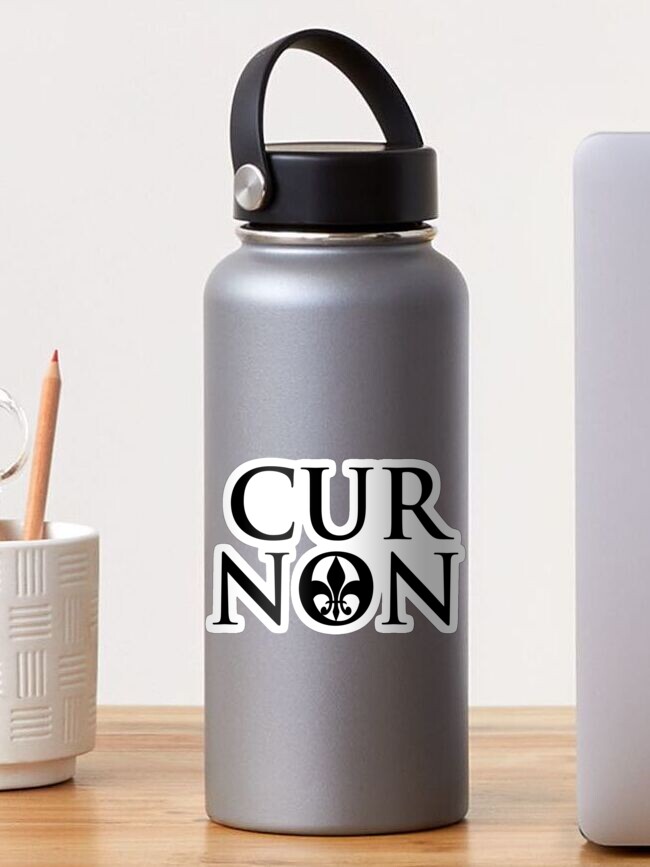 "Cur Non" Sticker for Sale by safirestar6 | Redbubble