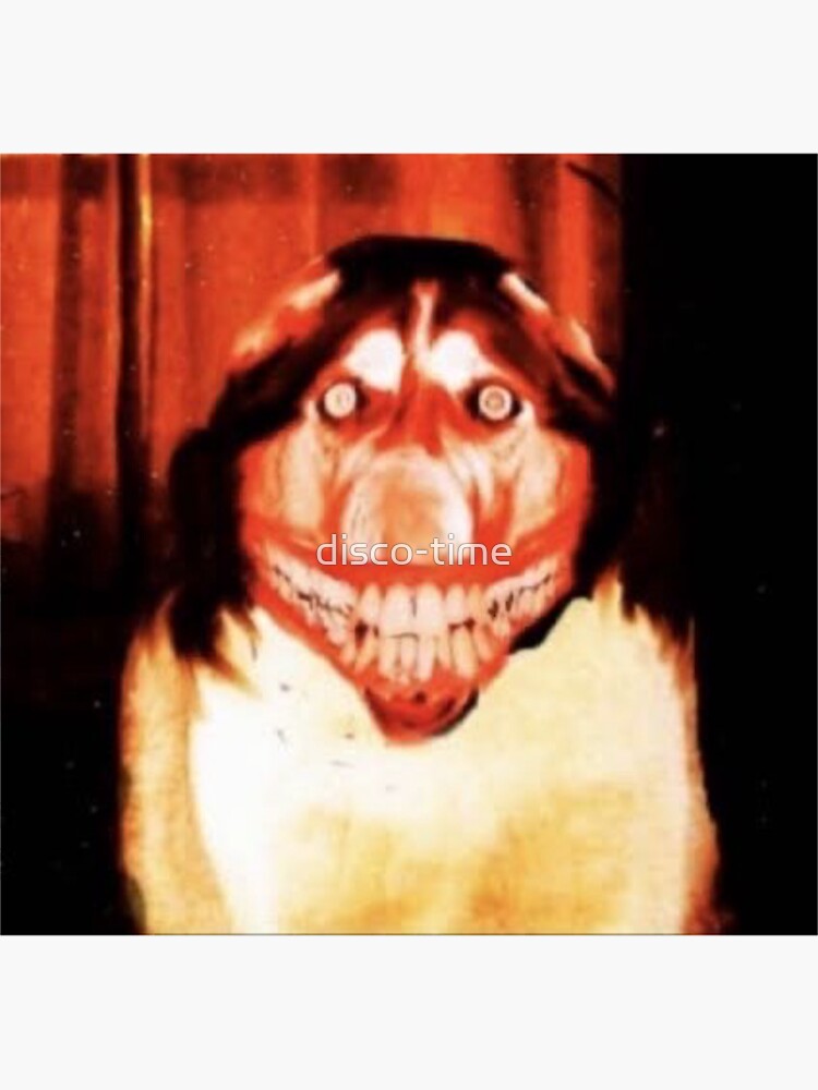 "Smile Dog" Sticker for Sale by disco-time | Redbubble