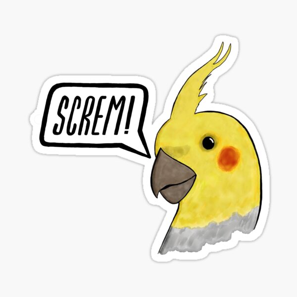 "Cockatiel - Screm!" Sticker by BaconPancakes21 | Redbubble