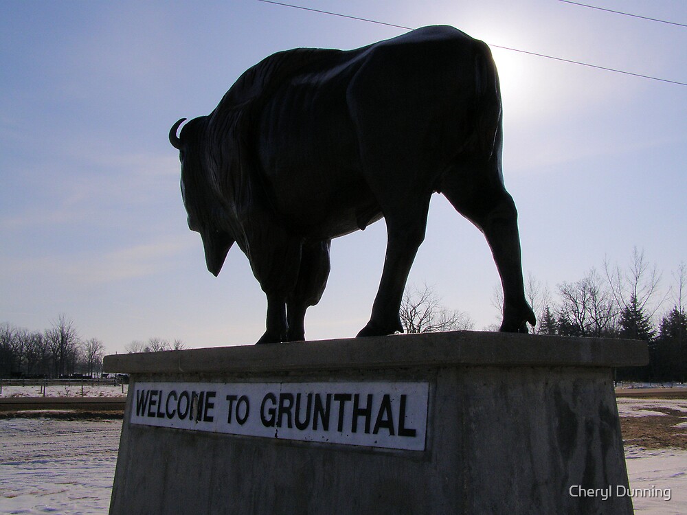 "grunthal bison statue" by Cheryl Dunning | Redbubble