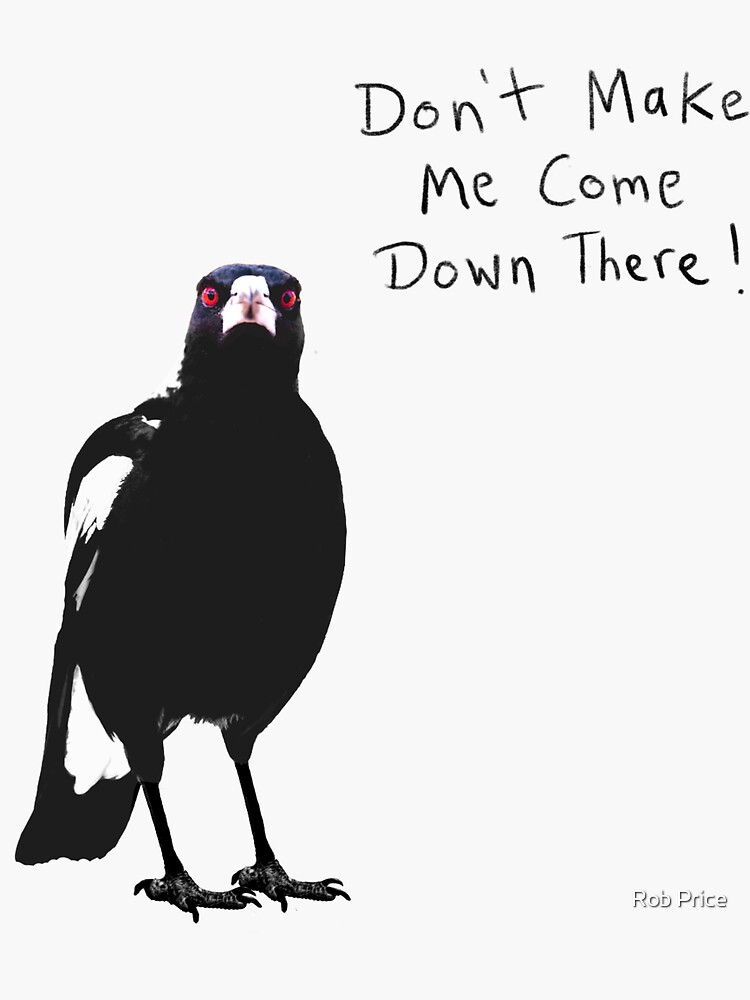 "Australian Magpie" Sticker for Sale by wanungara | Redbubble