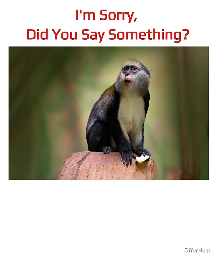 "I'm Sorry Did You Say Something Monkey" by OfferHeat | Redbubble