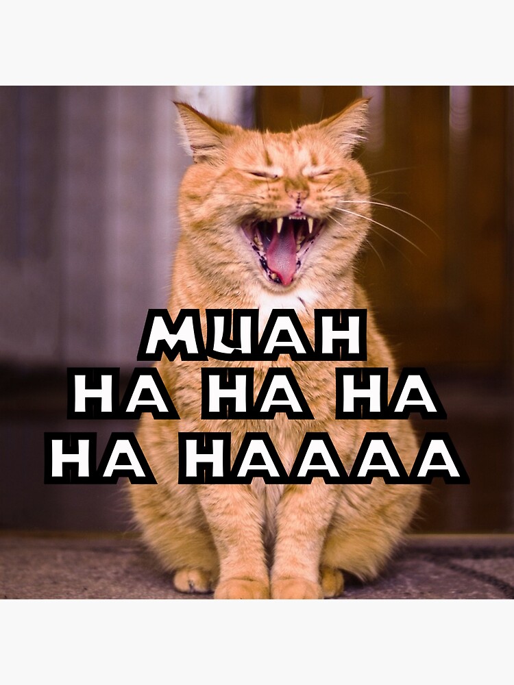 Evil Laughing Cat Meme
