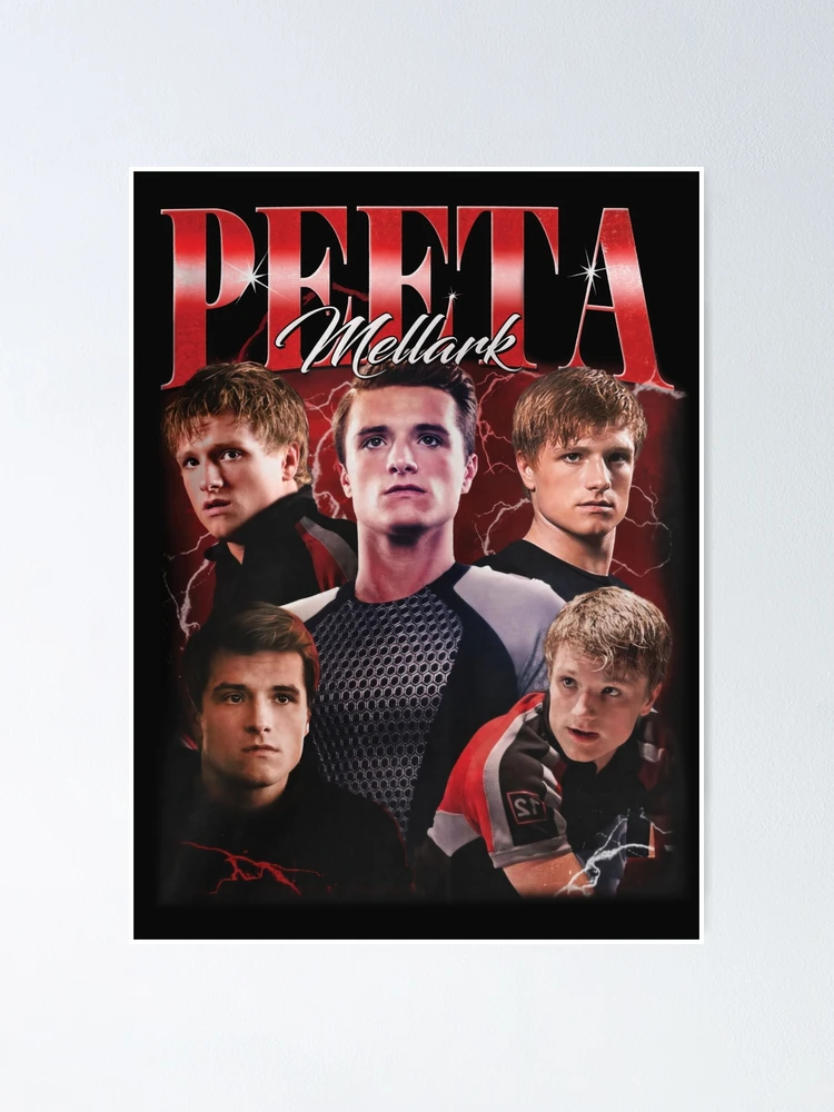 Peeta Mellark Mockingjay Poster