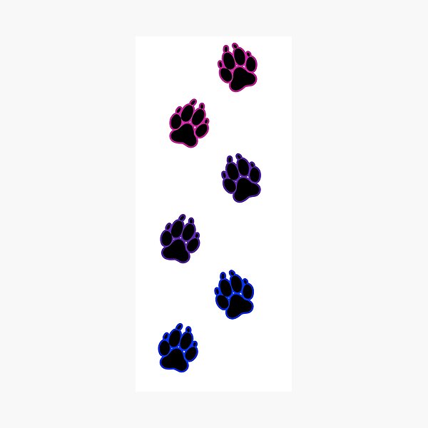 "Bisexual Dog Paw print" Photographic Print for Sale by Adezu | Redbubble