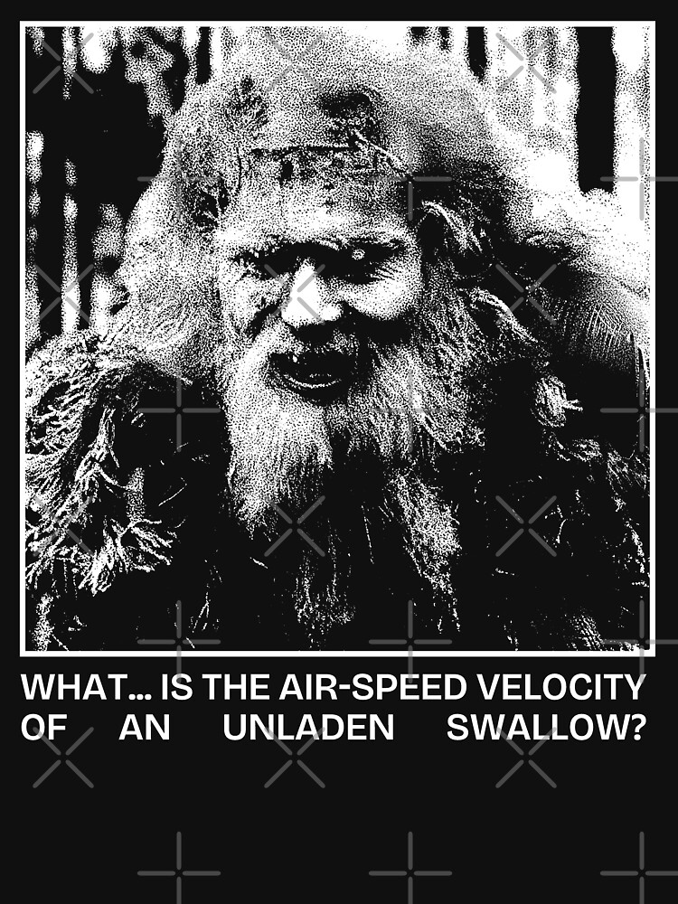 "BridgeKeeper" Essential T-Shirt for Sale by JulianoZn97 | Redbubble