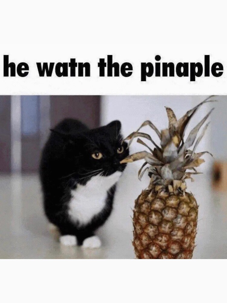 "He want the pineapple unico uni meme" Essential T-Shirt for Sale by ...