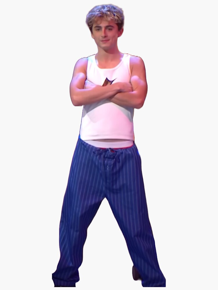 "Timothee Chalamet as Troy Sivan" Sticker for Sale by lizzycenicola ...