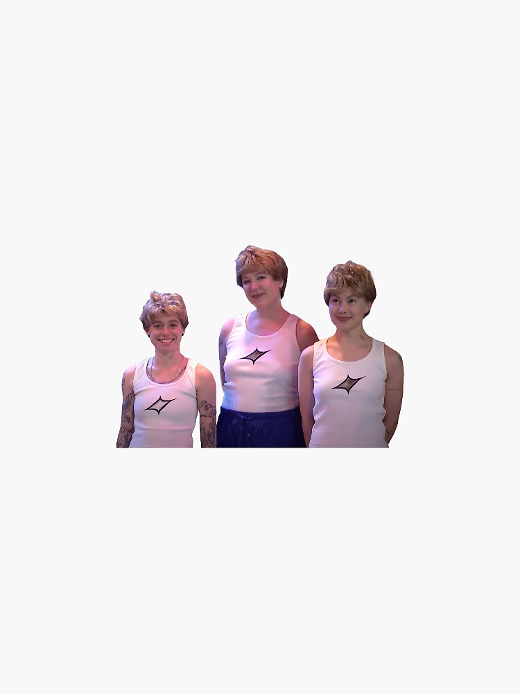 "Boygenius as Troy Sivan" Sticker for Sale by lizzycenicola | Redbubble