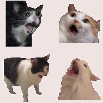 "screaming cat meme (set 1) pack" Sticker for Sale by mooneko | Redbubble