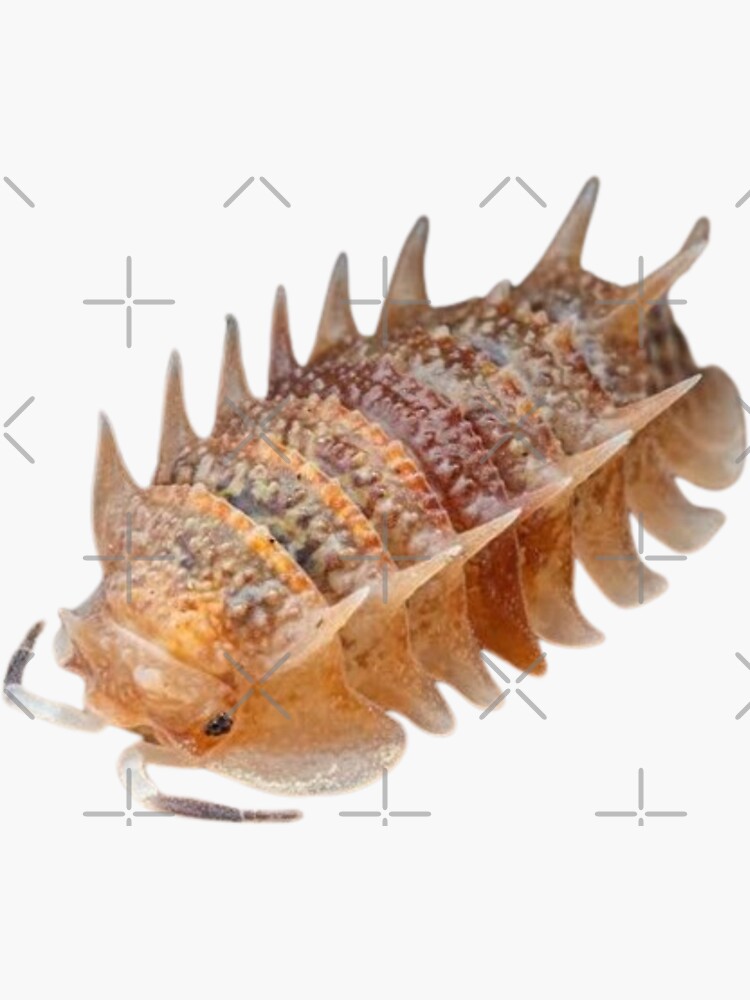 "Rubber ducky isopod plush" Sticker for Sale by Obinne | Redbubble
