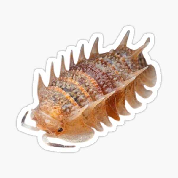 "Rubber ducky isopod plush" Sticker for Sale by Obinne | Redbubble