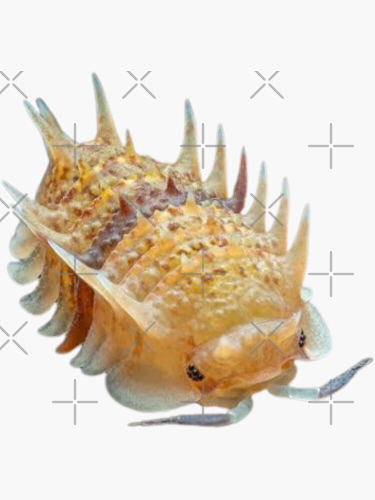 " Rubber ducky isopod plush" Sticker for Sale by Obinne | Redbubble