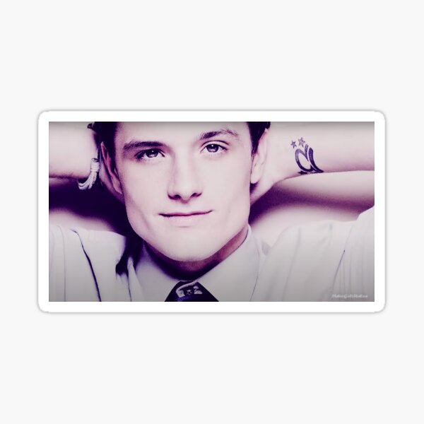 "Josh Hutcherson Whistle Meme" Sticker for Sale by hauntihng | Redbubble