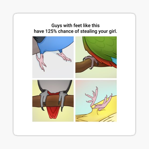 "Birb Feet Meme" Sticker for Sale by meruesan | Redbubble