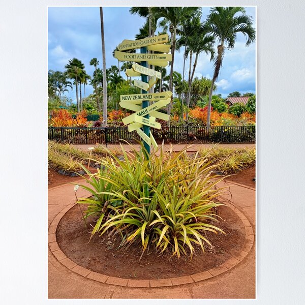 "Dole Plantation Hawaii" Poster for Sale by RaduRd | Redbubble