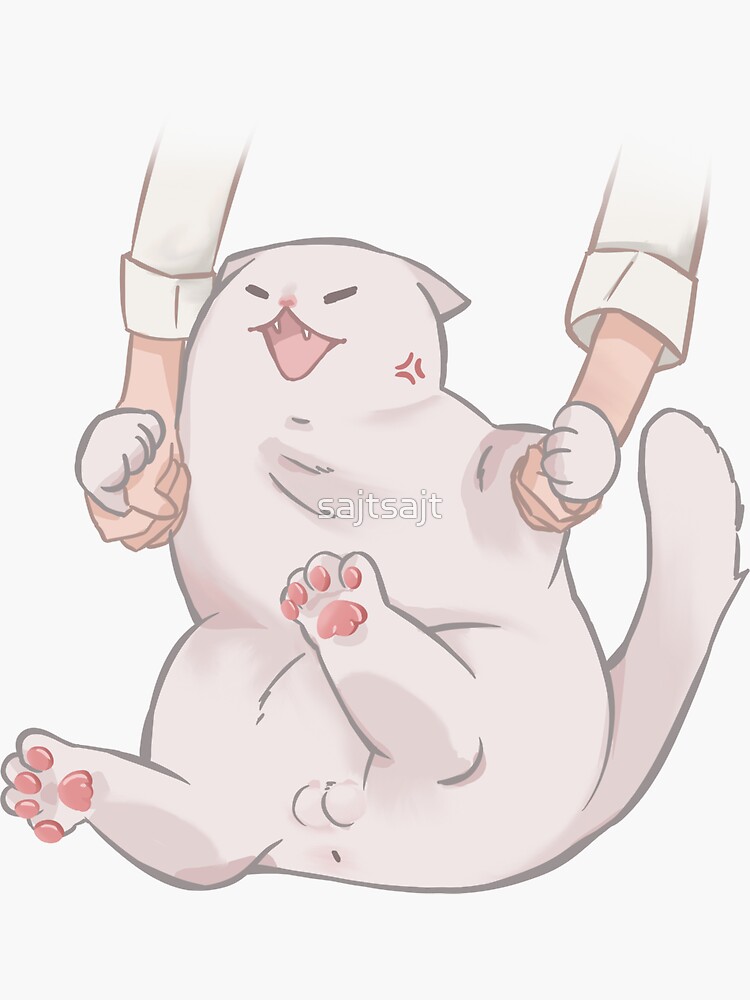 "Very pissed off cat meme" Sticker for Sale by sajtsajt | Redbubble