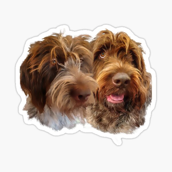 "DUET" Sticker for Sale by boesarts | Redbubble