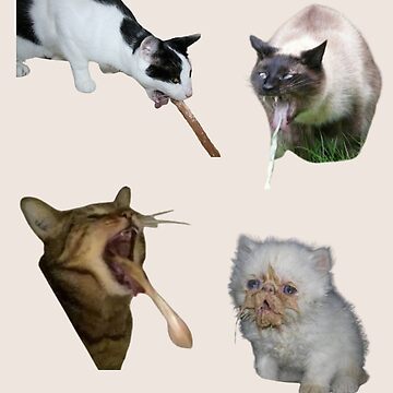 "vomit cat meme pack" Sticker for Sale by mooneko | Redbubble
