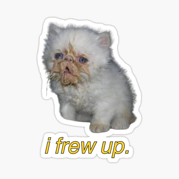 Fet Katt Meme Mat Slechte Kat Wist Te Veel Stockfoto En Meer Beelden