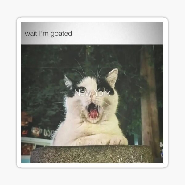 "wait im goated" Sticker for Sale by ktlyntn | Redbubble