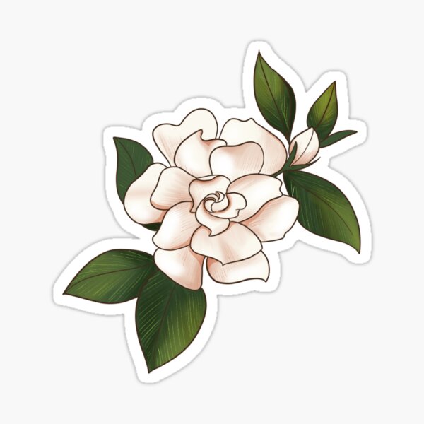 "Gardenia" Sticker for Sale by RogueTea | Redbubble