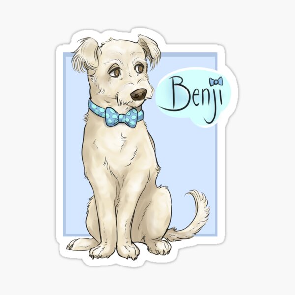 Es Benji El Perro Un Niño O Una Niña