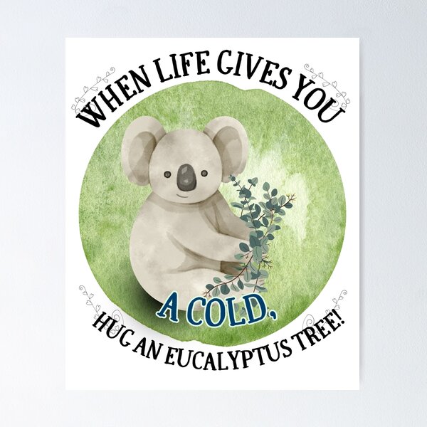 Funny Koala Quotes Funny Koala Quotes Art Board Prints For Sale