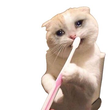 "crying cat with toothbrush meme" Sticker for Sale by ktlyntn | Redbubble