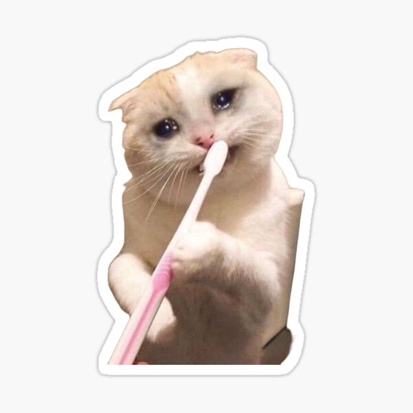 "crying cat with toothbrush meme" Sticker for Sale by ktlyntn | Redbubble