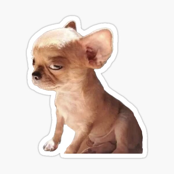 "Angry Chihuahua Side Eye Dog Meme" Sticker for Sale by Merchbyjay ...