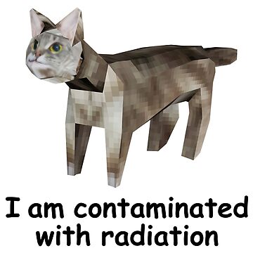 "I'm Contaminated With Radiation Kitr Low Poly Cat Meme Weidrcore ...