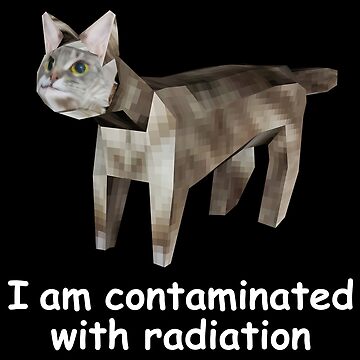 "Contaminated With Radiation Low Poly Cat Meme Kitr Weidrcore ...