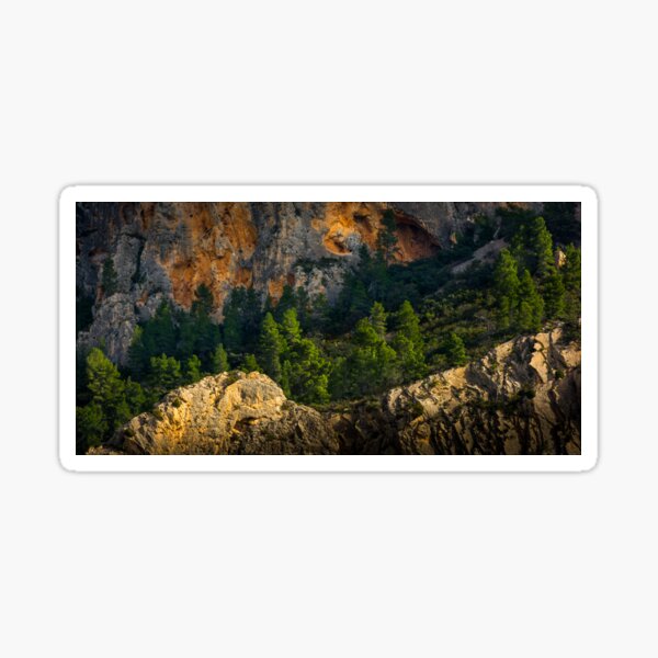 "Trees on the ridge" Sticker for Sale by RalphGoldsmith | Redbubble