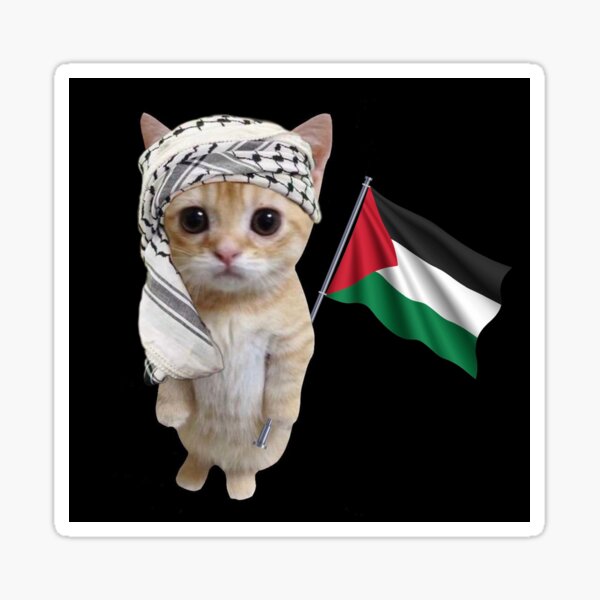 "Cats for Palestine " Sticker for Sale by Mya Zuaiter | Redbubble