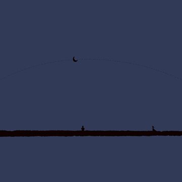 "Parapet Fourth Wing" Sticker for Sale by ohlovely | Redbubble