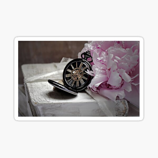 "Pocket Watch" Sticker for Sale by dawnmvd | Redbubble