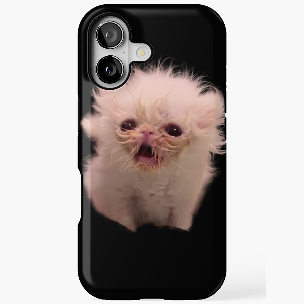 "Wisp Cat Meme " Essential T-Shirt for Sale by Reo12 | Redbubble