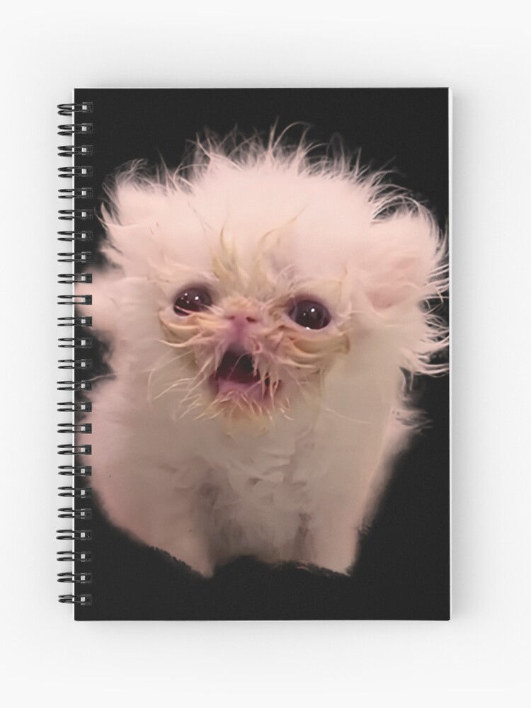 "Wisp Cat Meme " Spiral Notebook for Sale by Reo12 | Redbubble