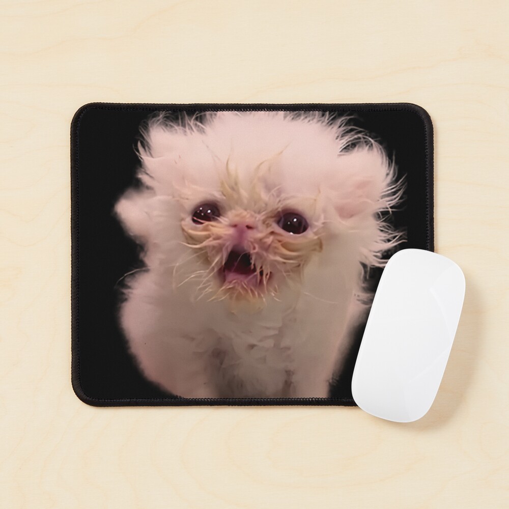 "Wisp Cat Meme " Essential T-Shirt for Sale by Reo12 | Redbubble