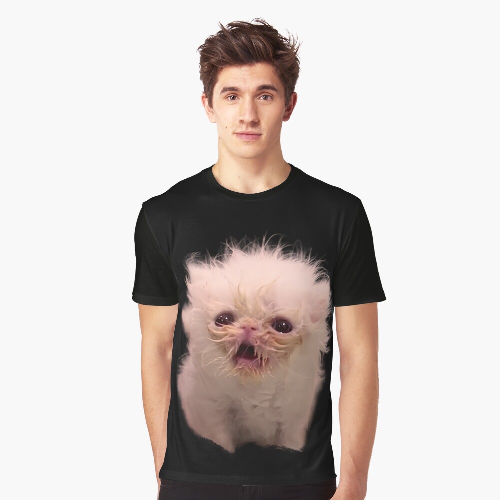 "Wisp Cat Meme " Essential T-Shirt for Sale by Reo12 | Redbubble