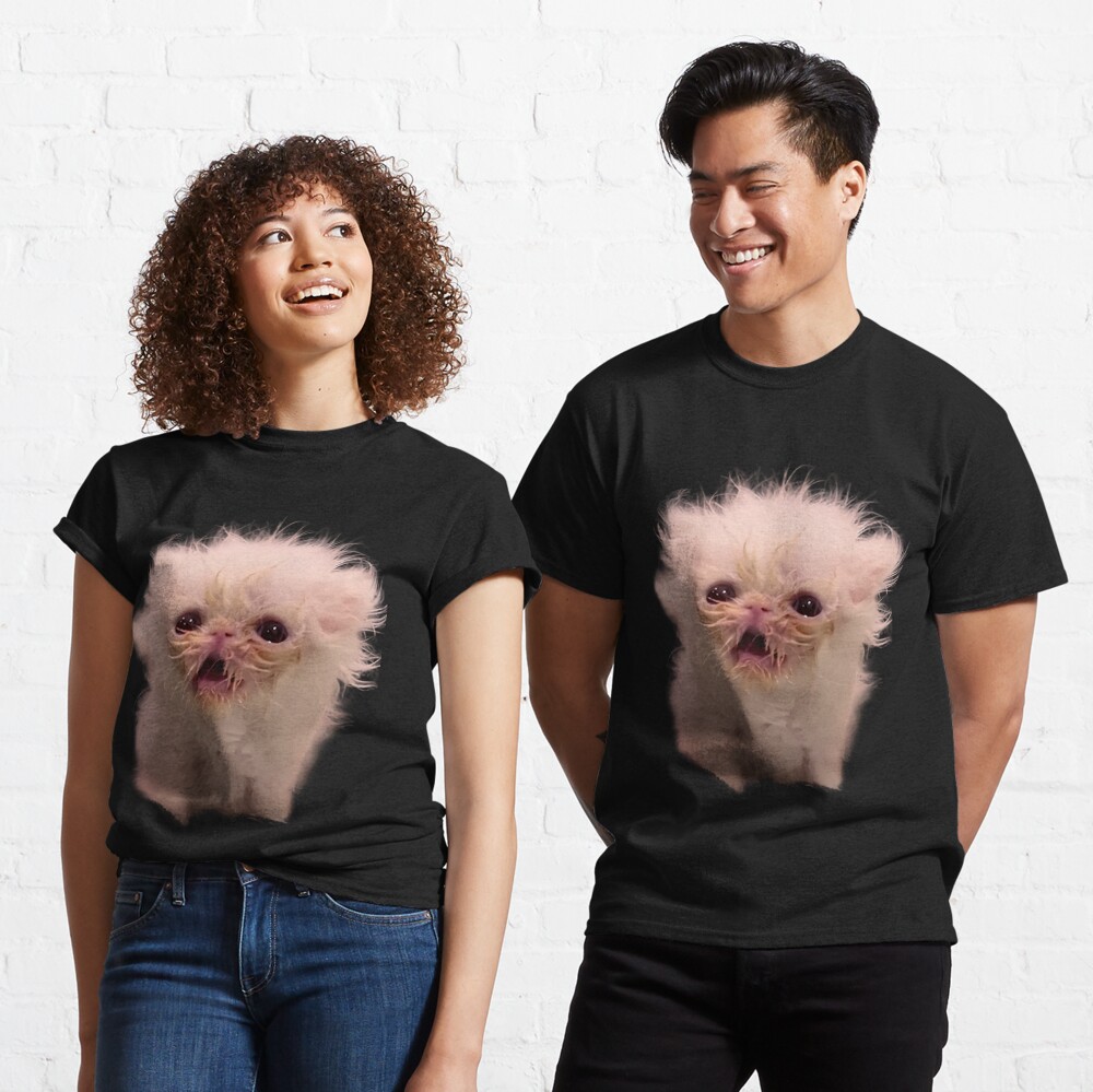 "Wisp Cat Meme " Essential T-Shirt for Sale by Reo12 | Redbubble